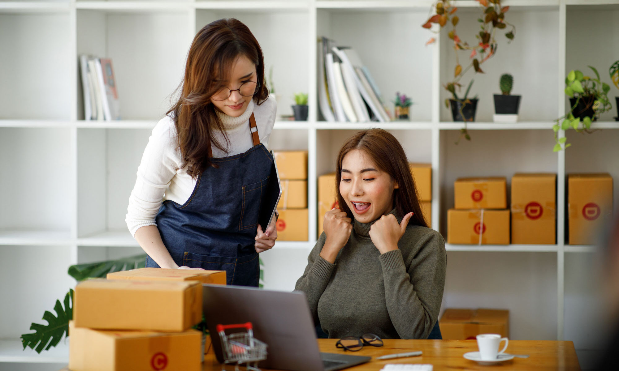 Ecommerce Traffic for Your Store – eTelShop