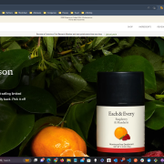 Etelshop Smart Websites Open Saas Agency Of Development
